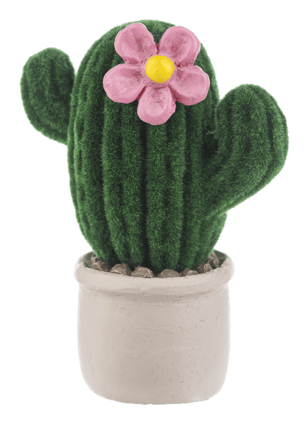 Cactus in Pot Token - ER75481 — Port Gamble General Store & Cafe