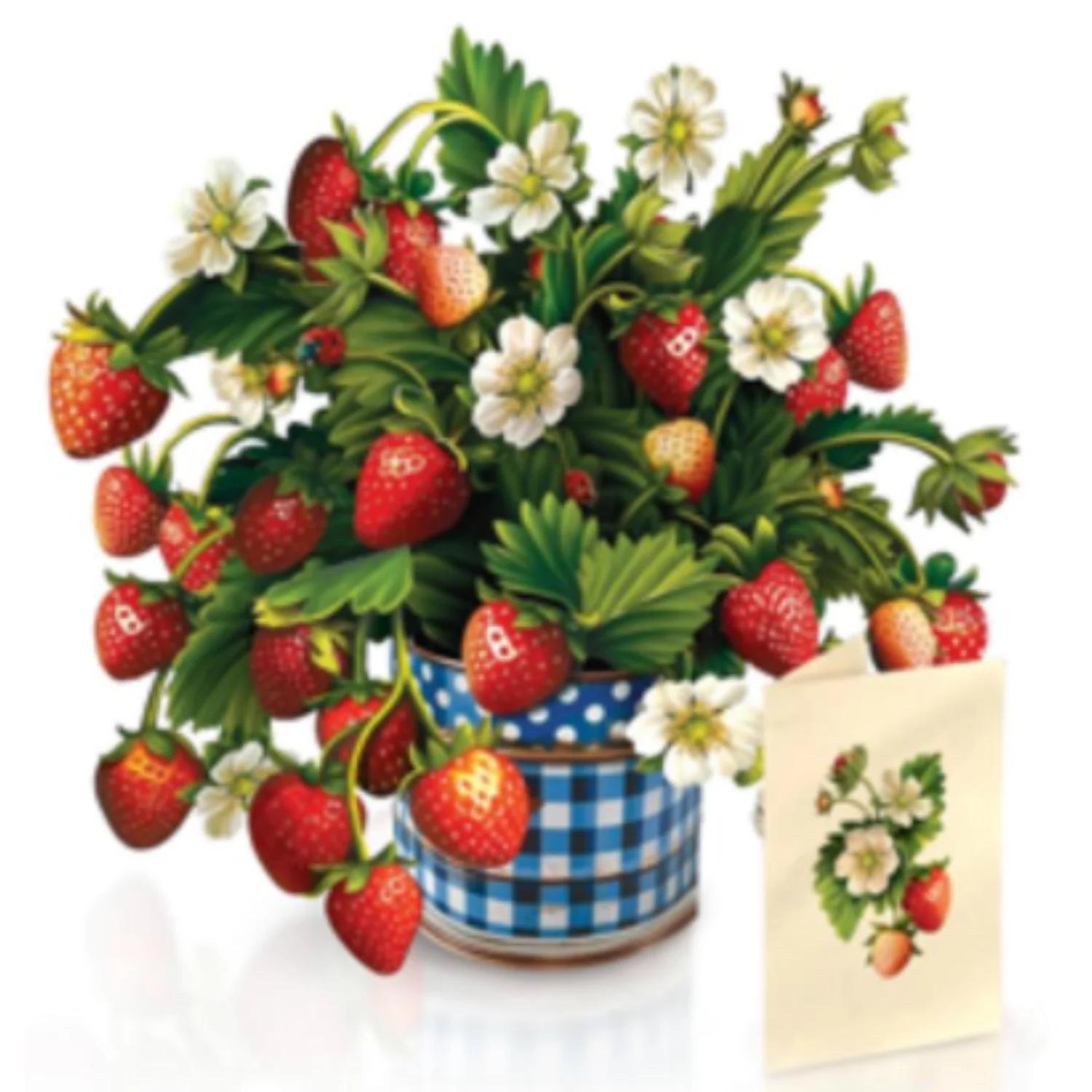 Freshcut Mini Strawberry Blossom Pop-Up Bouquet – Charming & Eco ...