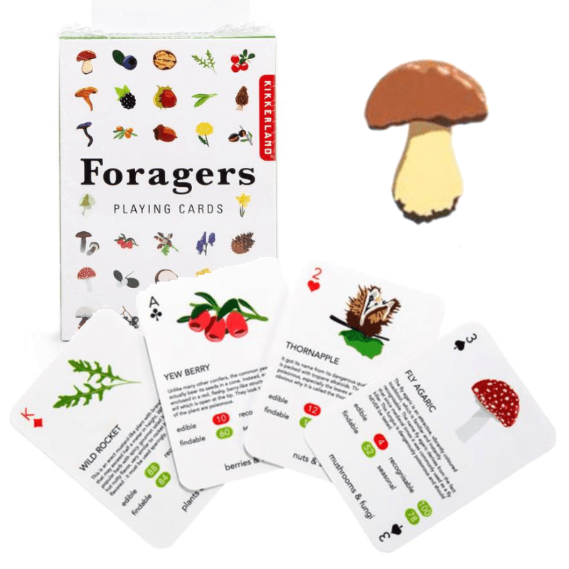 Explore Nature's Gifts: Educational Botanical Card Game — Port Gamble ...